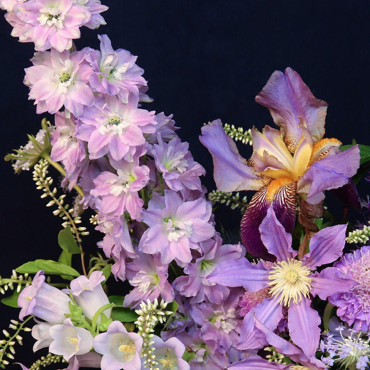 Grace & Favour 小生有禮 - Hong Kong Best Luxury Florist